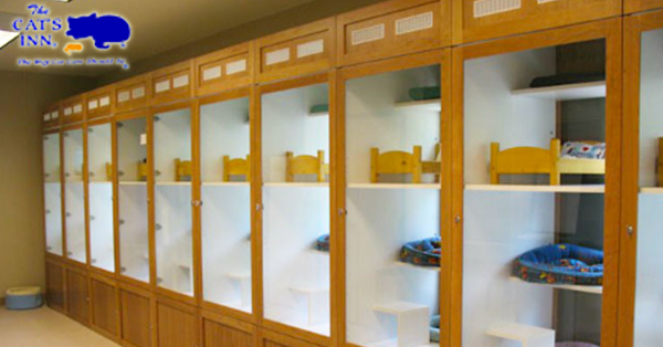 Cat Townhouses & Indoor Enclosures From The Cat's Inn